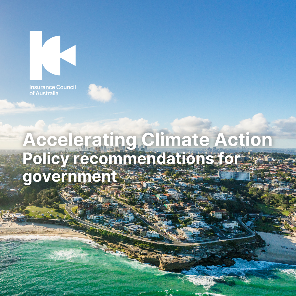 Accelerating Climate Action: Policy Recommendations for government ...